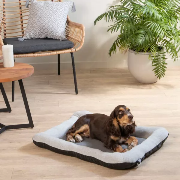 Matelas pour chat et chien Graphène L60 cm Gris - Animalerie - Eminza